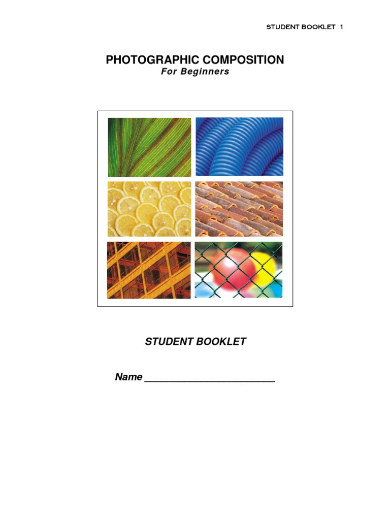 Photographic Composition: For Beginners | PDF