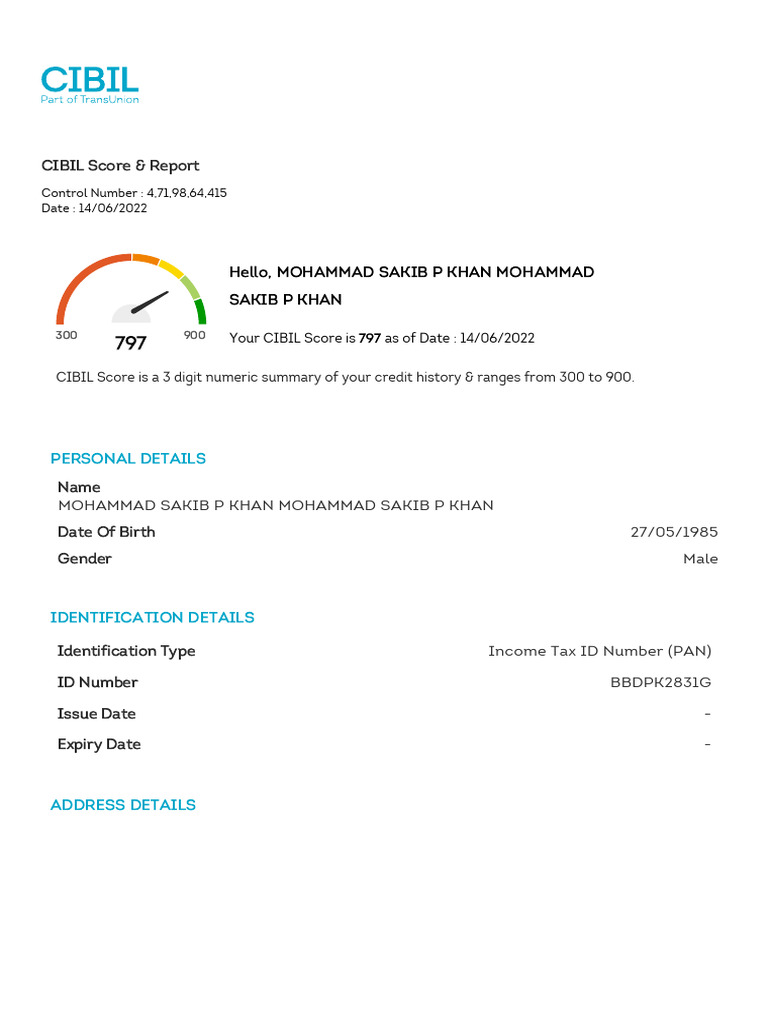 CIBIL Report July2025 | PDF | Credit | Finance & Money Management