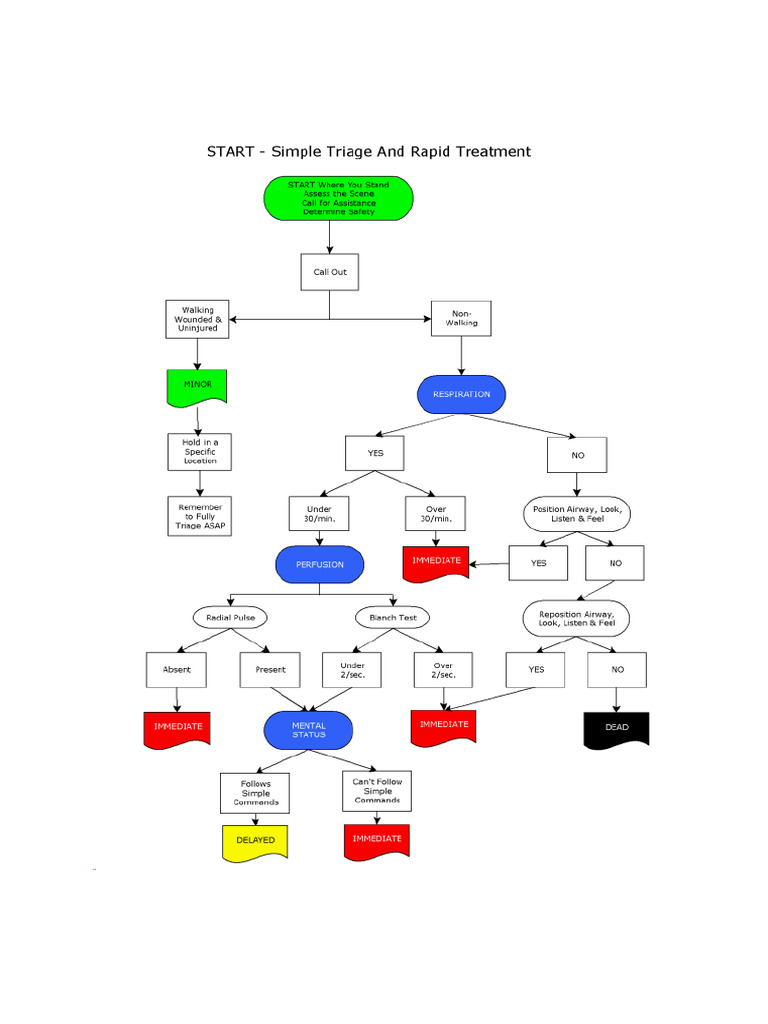 Triase | PDF