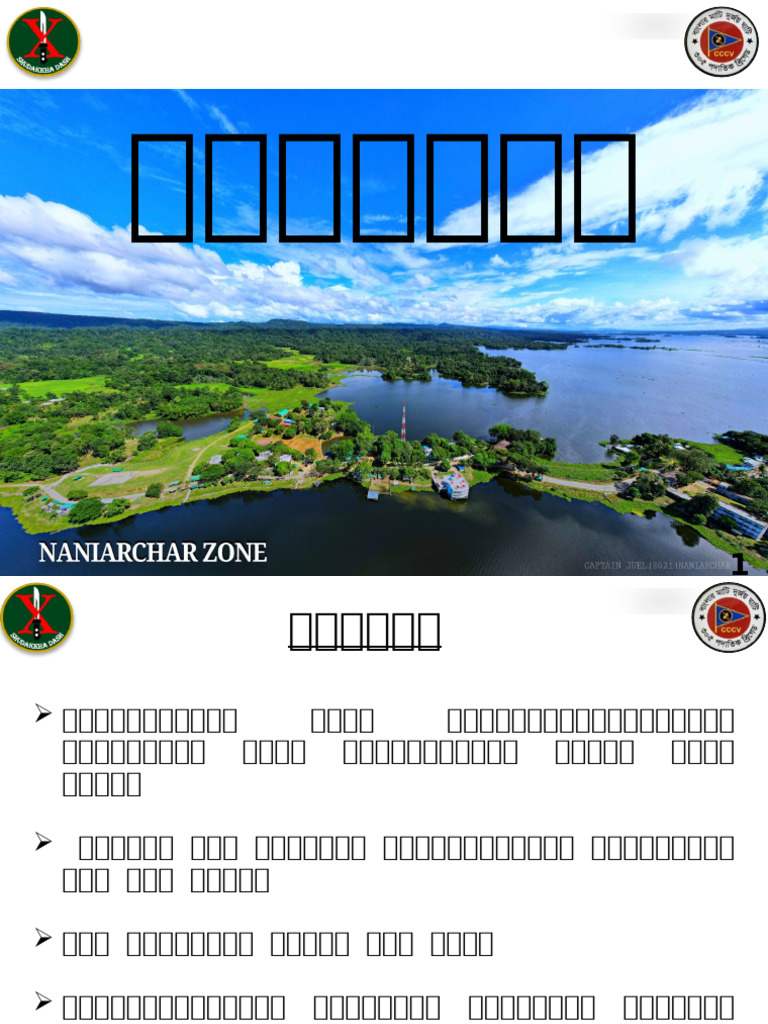 Alarm Scheme | PDF