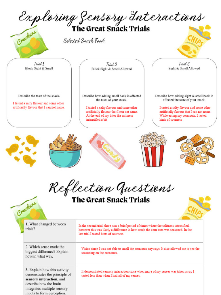Activity Snack Trial Handout (Student) | PDF