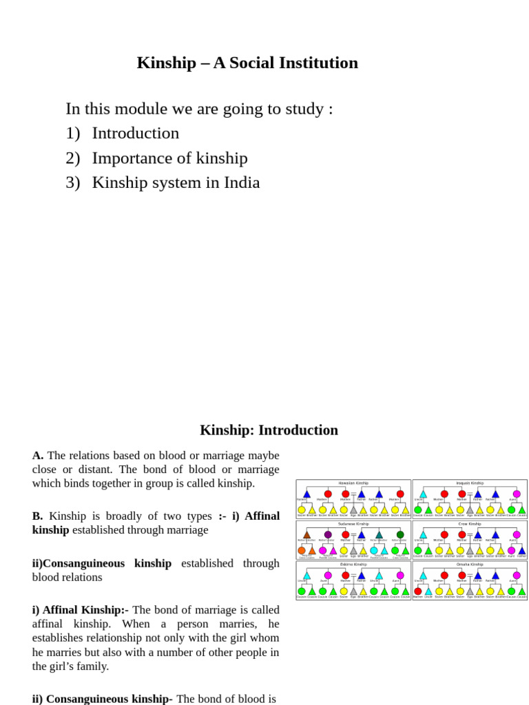Kinship System in India Explained | PDF | Kinship | Family