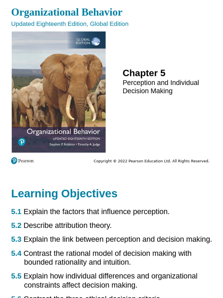 Perception and Decision Making Insights | PDF | Decision Making ...