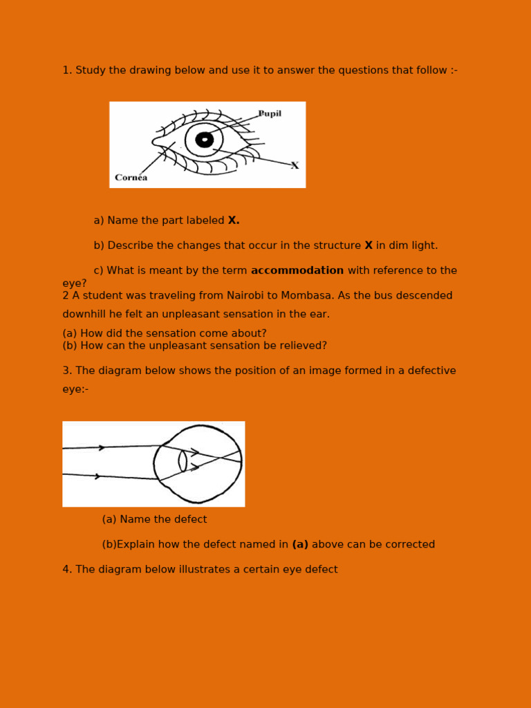Eye and Ear Anatomy Study Guide | PDF | Human Eye | Eye