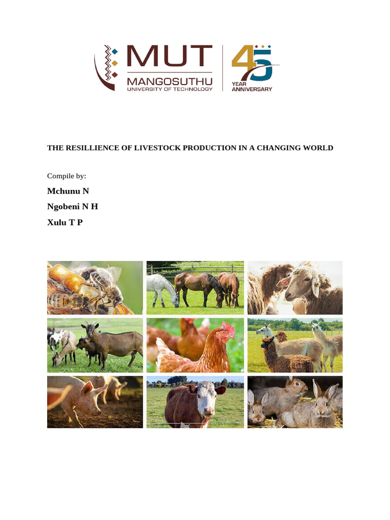 Introduction Beef Revised | PDF | Agriculture | Intensive Farming