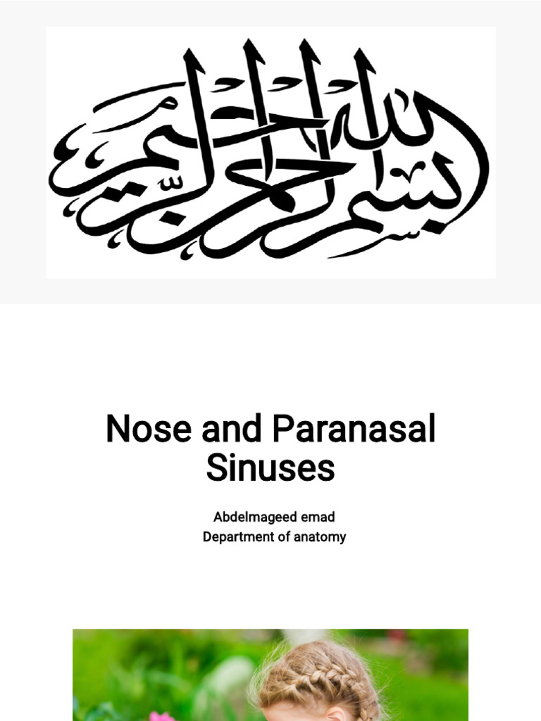 Nose and Paranasal Sinuses | PDF | Human Nose | Human Head And Neck