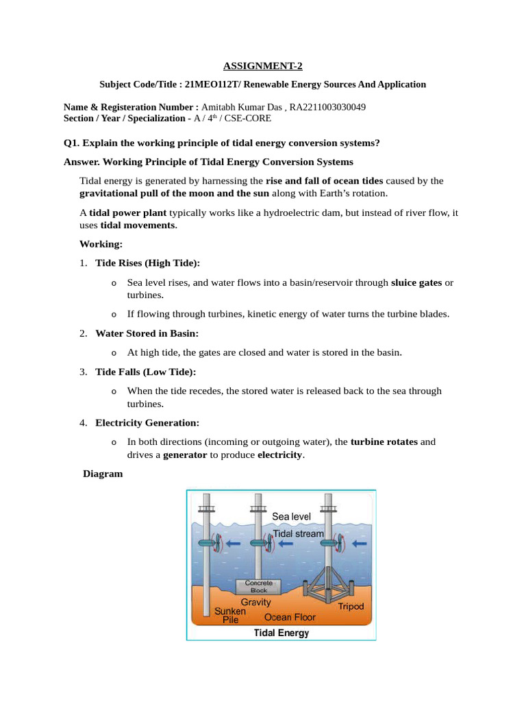 Assignment 2 Renewable Energy | PDF | Fuel Cell | Biofuel