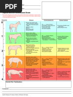 CSU Canine Acute Pain Scale Guide | PDF | Pain | Diseases And Disorders