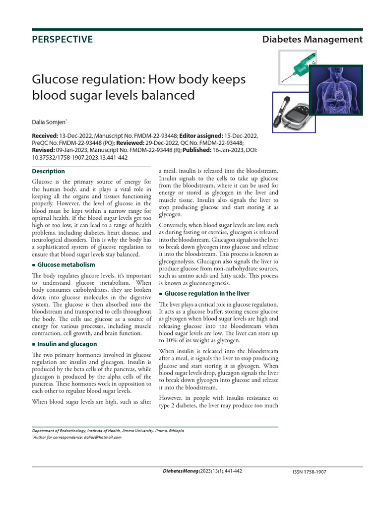 Glucose Regulation How Body Keeps Blood Sugar Levels Balanced | PDF ...