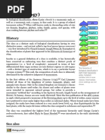 Hornbostel-Sachs Classification Overview | PDF | String Instruments ...