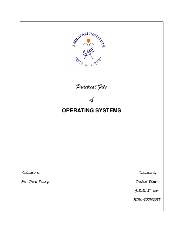 Practical File | PDF