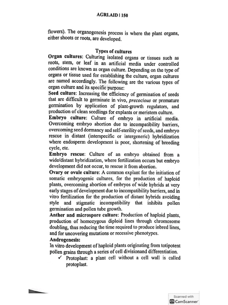 Types of Culture | PDF