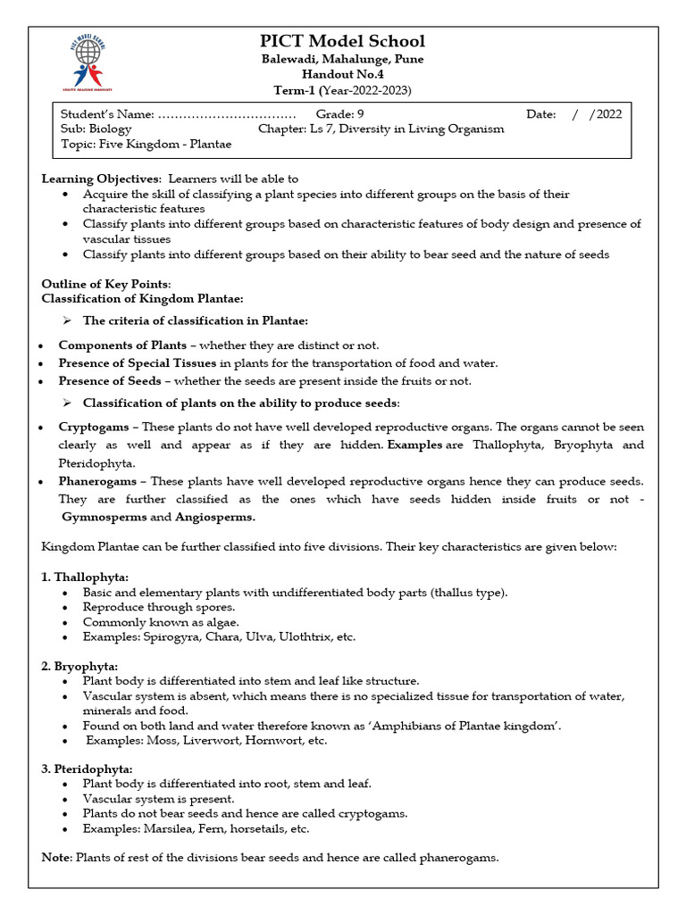 HO4-Grade 9 Biology Summer Session | PDF | Seed | Plants