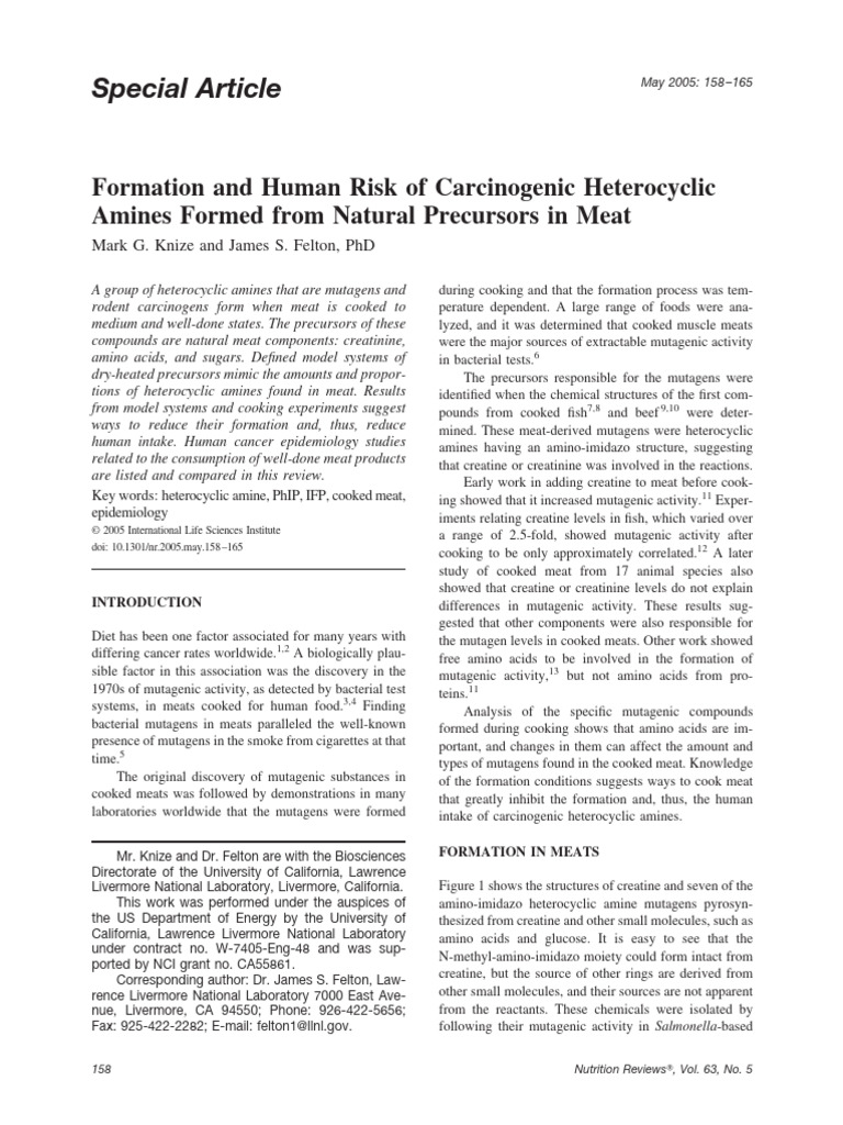 Formation and Human Risk of Carcinogenic Heterocyclic Amines Formed ...
