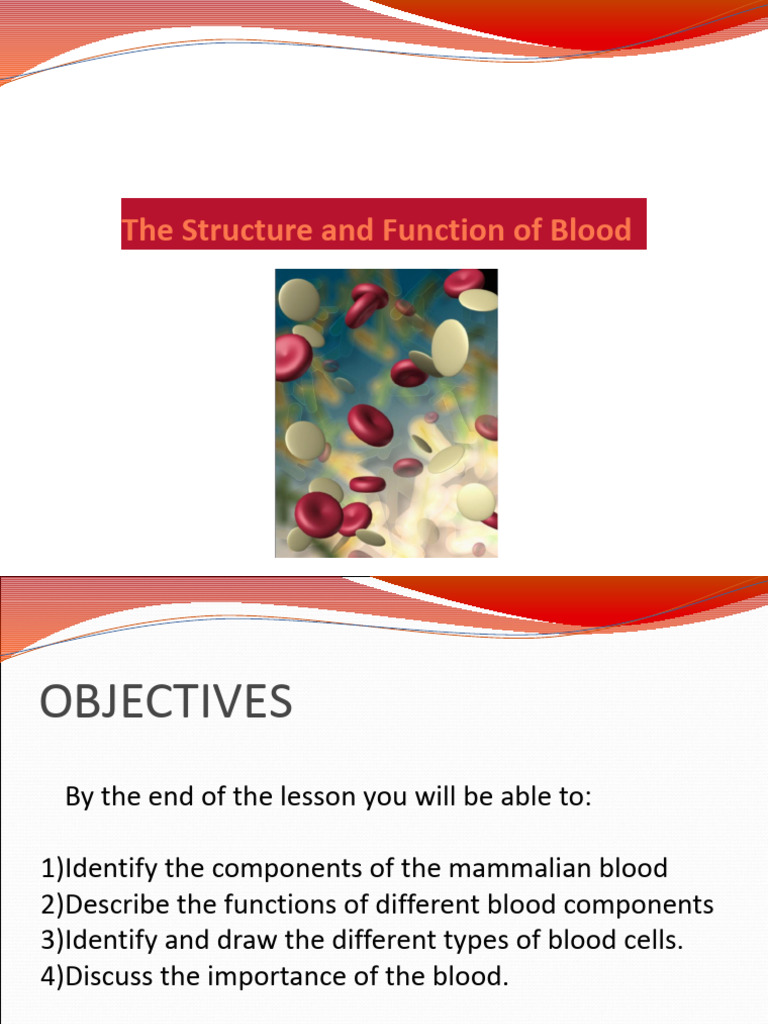 New Blood Composition Powerpoint - 250725 - 001203 | PDF | Blood ...