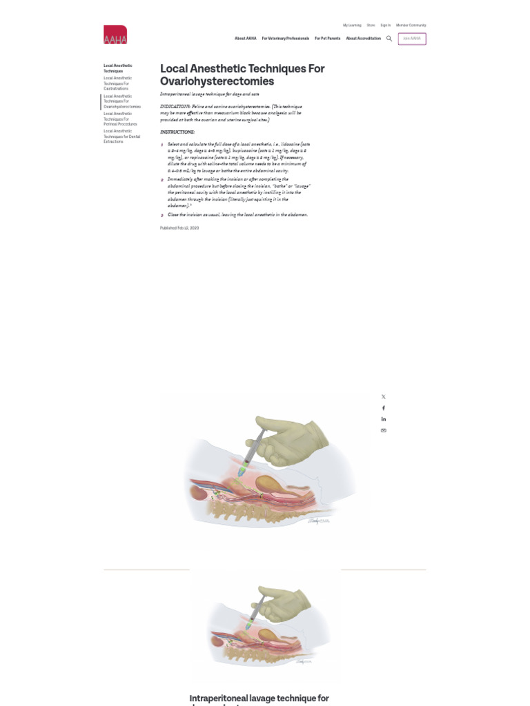 Anestesia Intraperitoneal para OSH | PDF | Anesthesia | Neutering