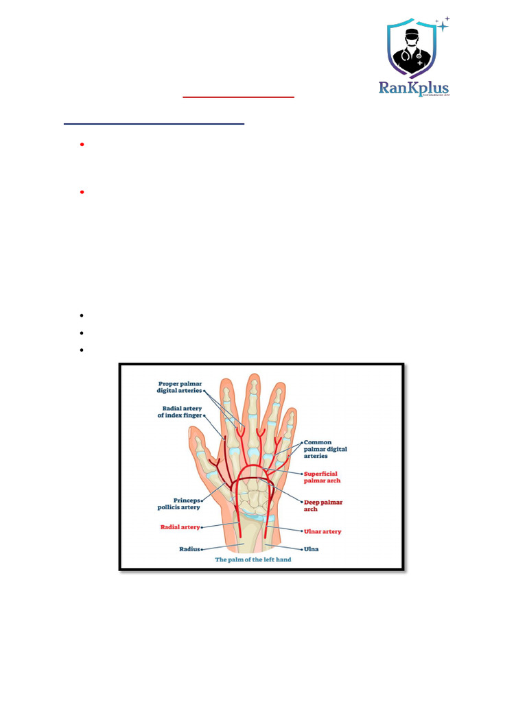 Arterial Blood Collection Guide | PDF | Cerebrospinal Fluid | Kidney