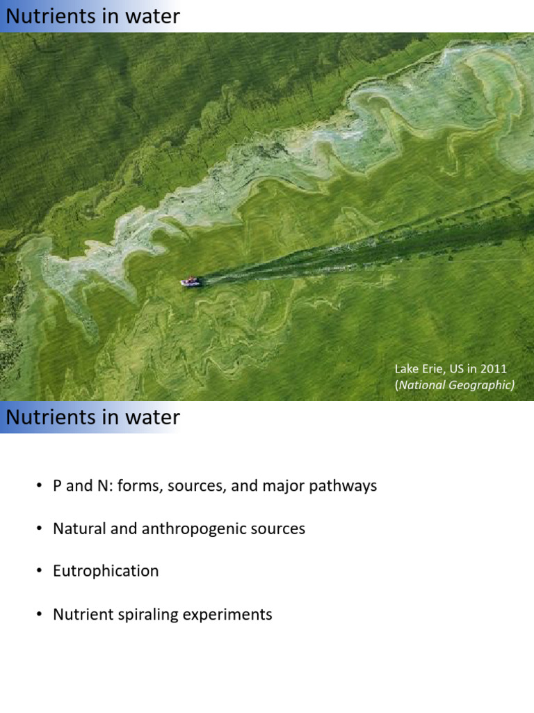 Nutrient Cycling in Freshwater Systems | PDF | Eutrophication | Nitrate