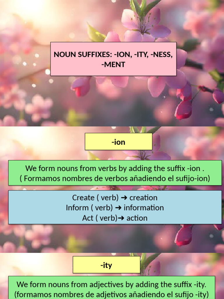Definition of the -ity Suffix | PDF