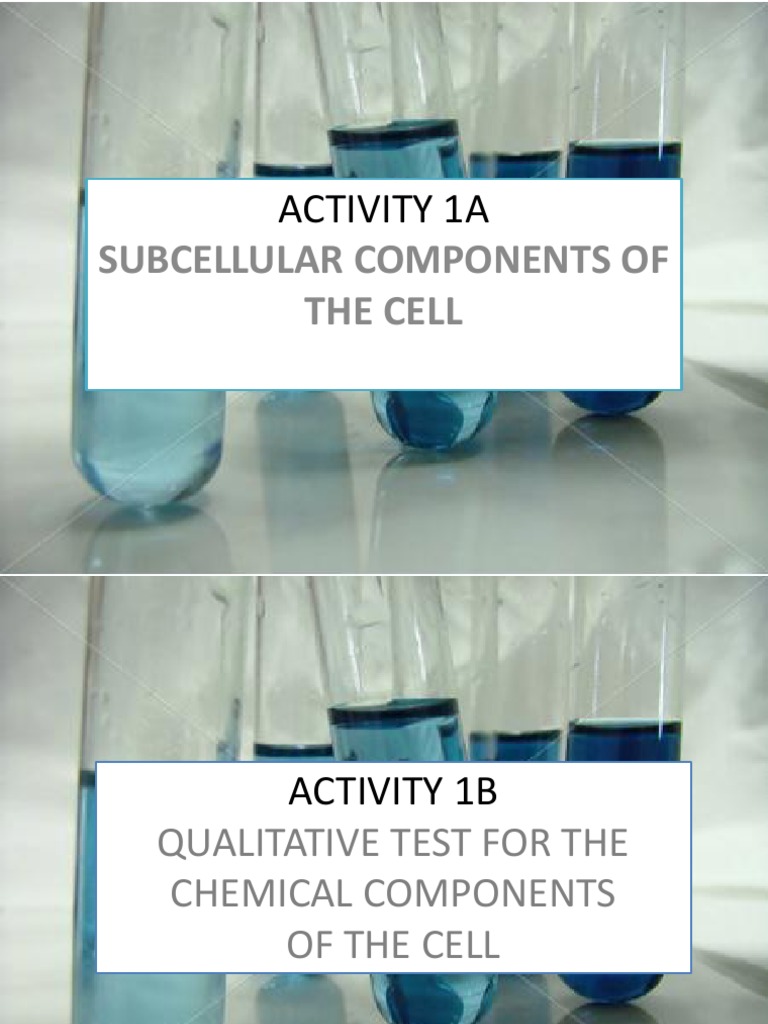 Biochemistry Activity 1a & 1b | PDF | Carbohydrates | Organic Compounds