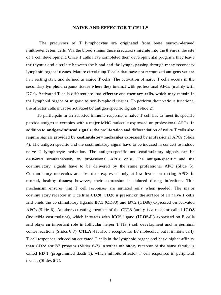 Naive vs Effector T Cells Explained | PDF | T Cell | Cytotoxic T Cell