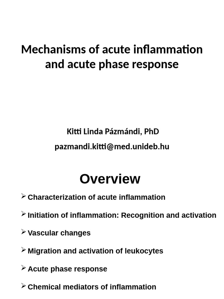 Acute Inflammation Mechanisms Explained | PDF | Inflammation | Macrophage
