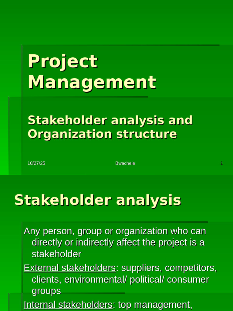 PM Organization Structure2 | PDF | Stakeholder (Corporate ...