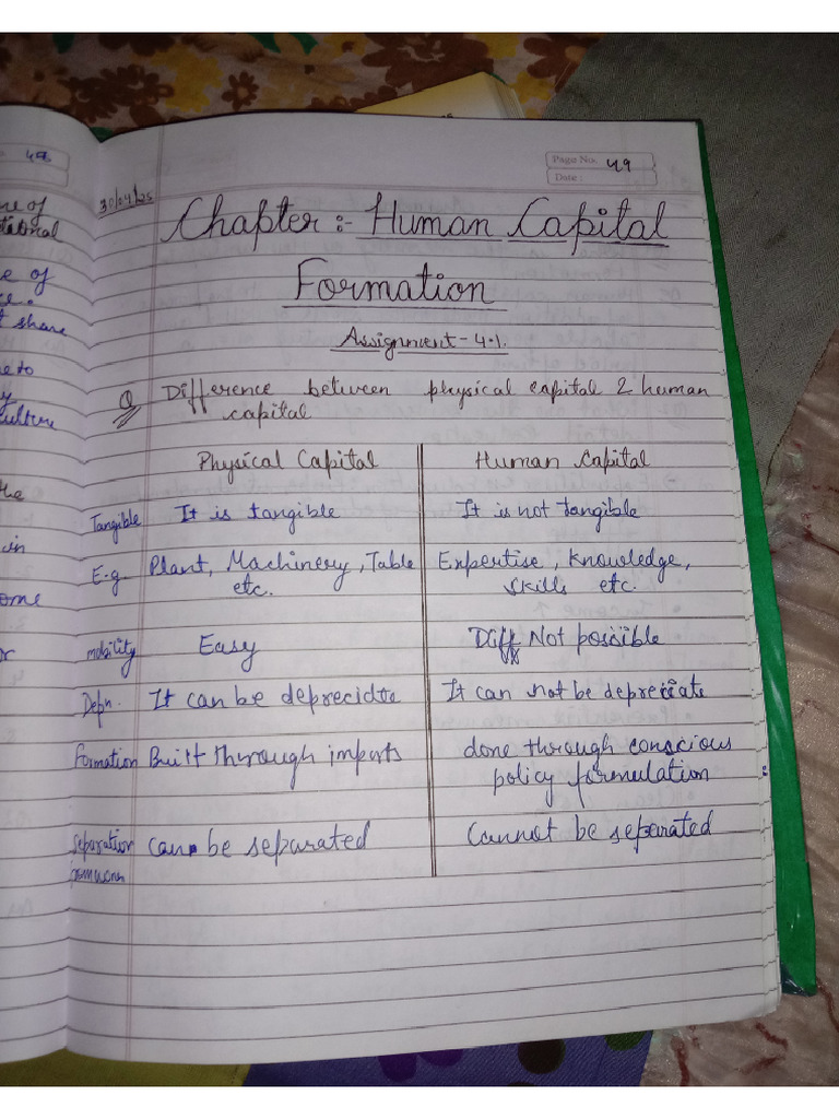 CH 4 Human Capital Development | PDF
