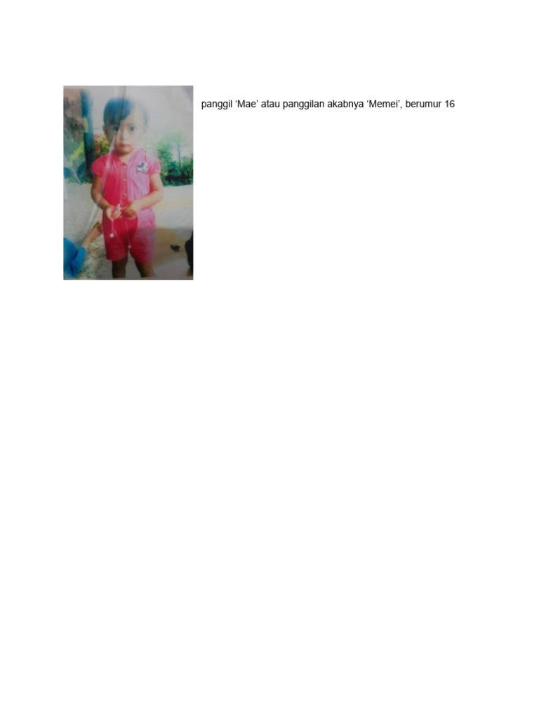 Biografi Siti Maesaroh: Kisah Inspiratif | PDF