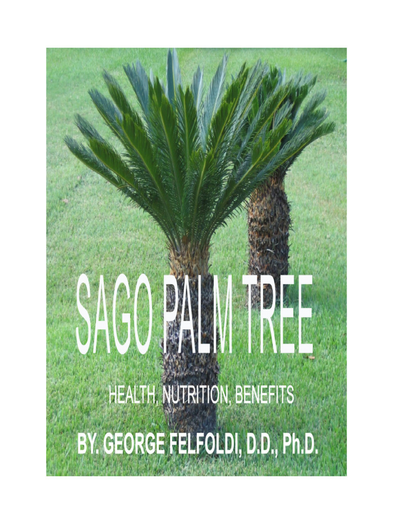 2025 - George Felfoldi - (Ebook-Plants) - Sago Palm Tree, Health ...