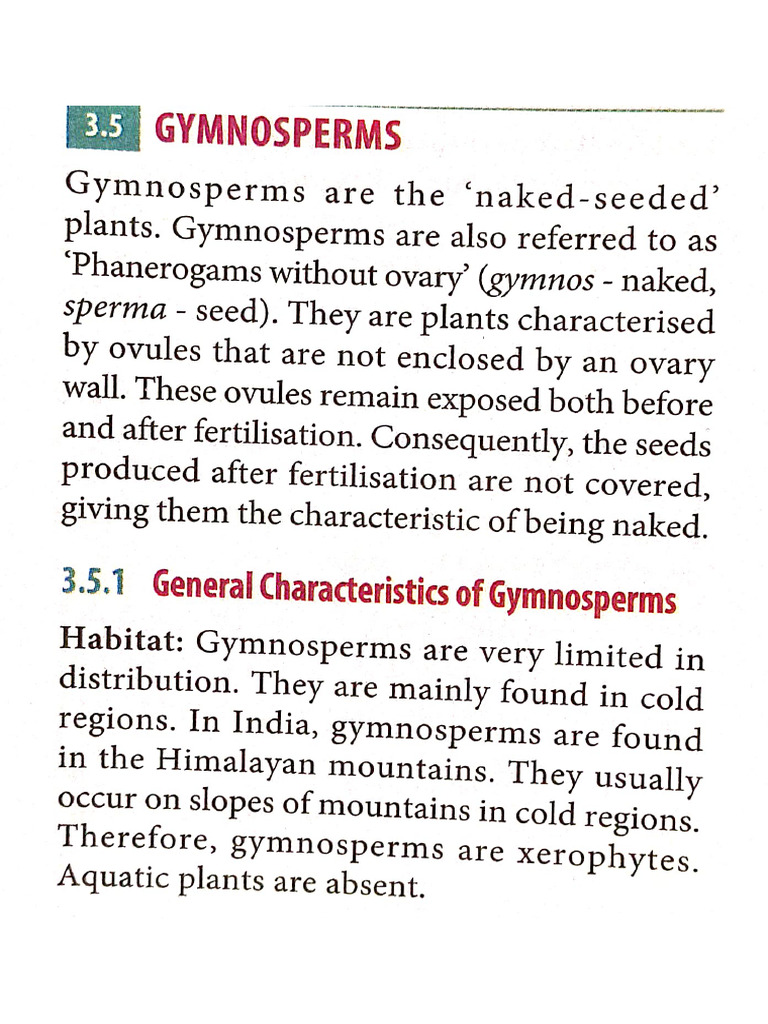 Gymnosperm and Angiosperm | PDF