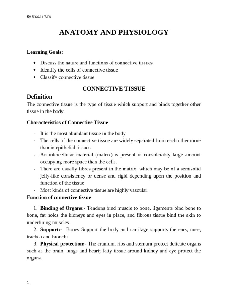 Connective Tissue Updated | PDF | Connective Tissue | Tissue (Biology)