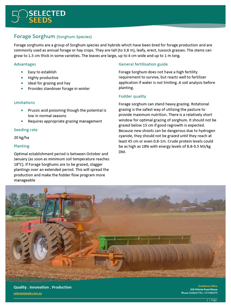 Forage Sorghum Planting and Yield Guide | PDF | Grazing | Hay