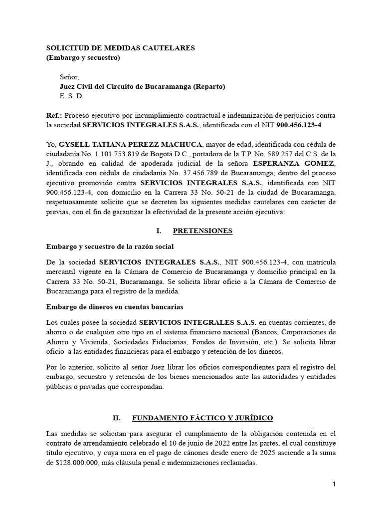 Escrito Medidas Cautelares | PDF