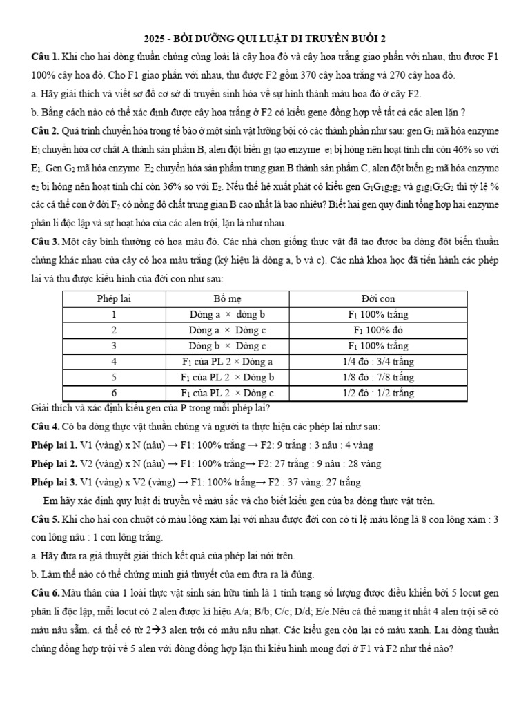 2025 - B2 - QLDT | PDF
