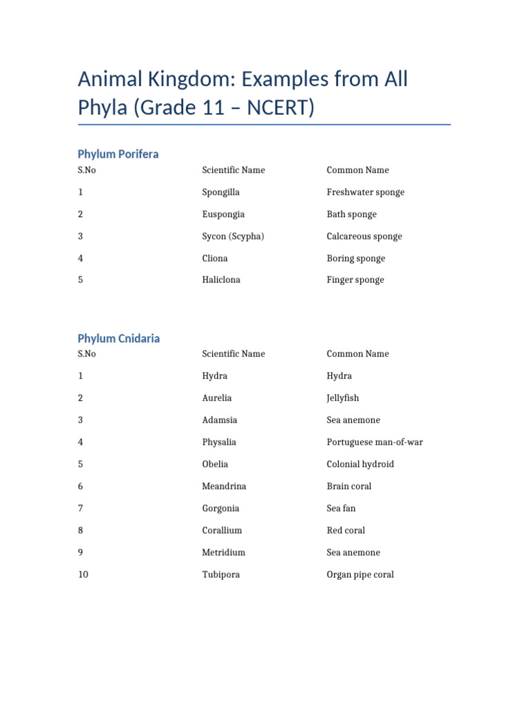 Animal Kingdom Phyla Overview | PDF | Zoology