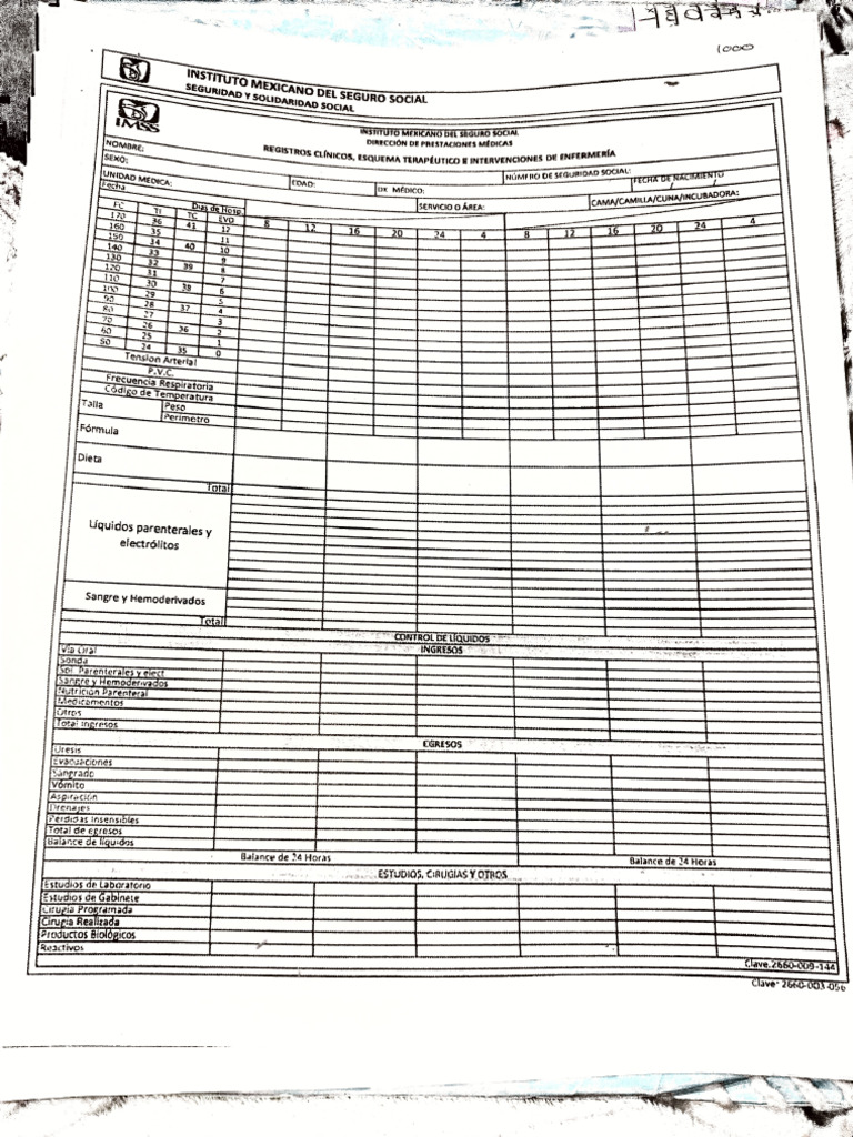 Hoja Enfermeria IMSS | PDF