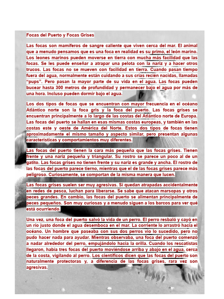 Focas Del Puerto y Focas Grises | PDF | Pinnípedo | Mar