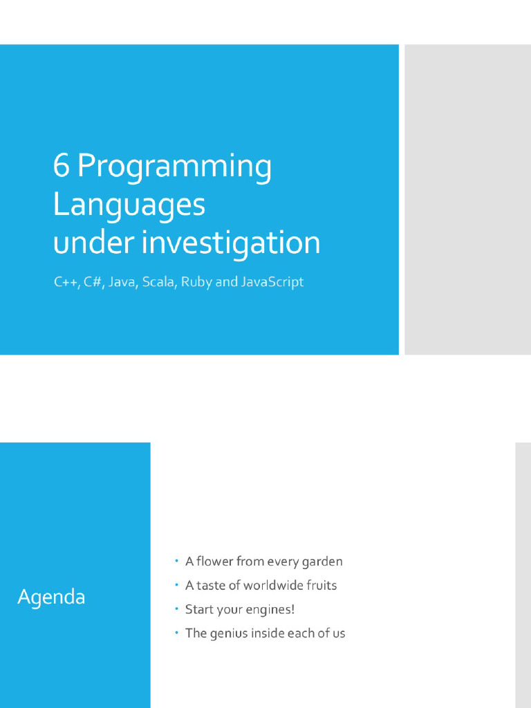 6 Programming Languages Under Investigation | PDF