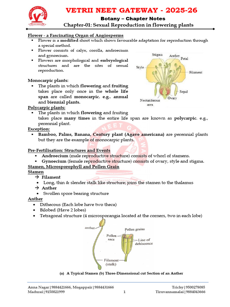 Notes - Sexual Reproduction in Flowering Plants | PDF | Seed | Flowers