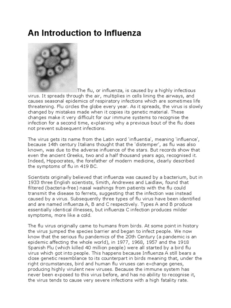 An Introduction To Influenza | PDF
