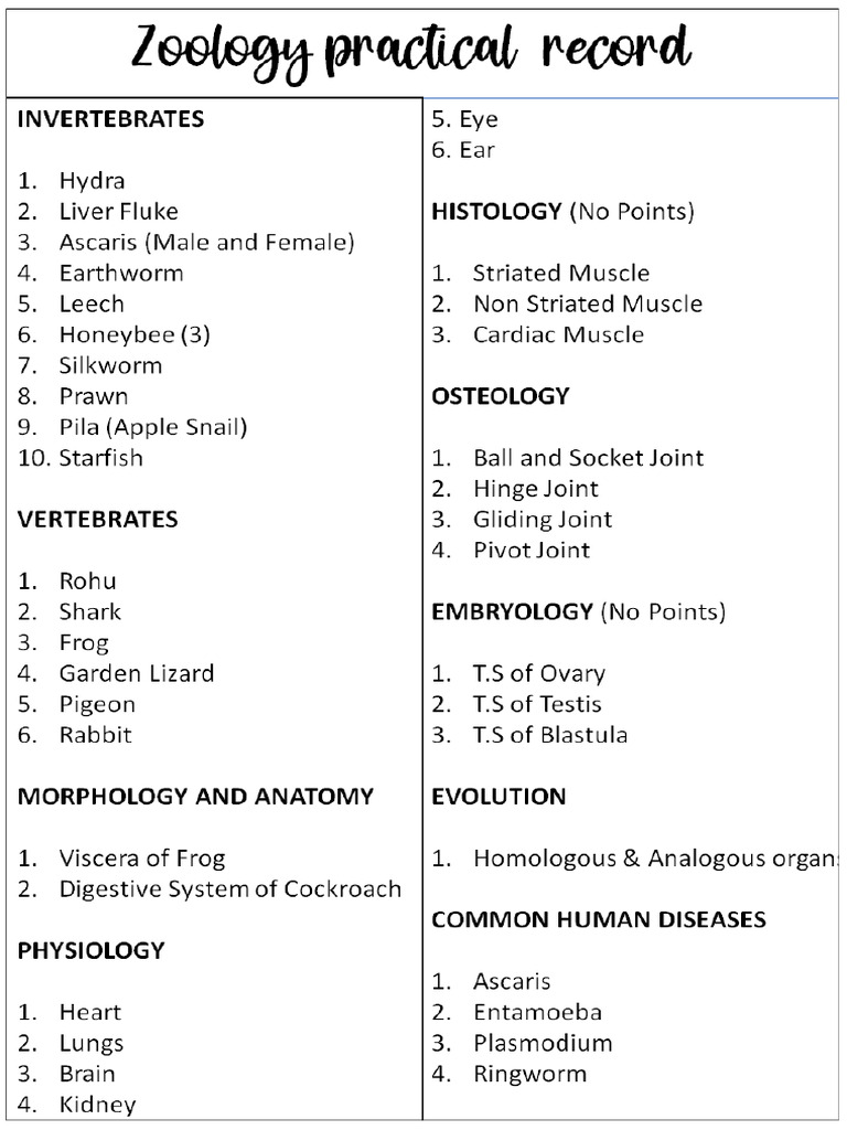 Zoology Practical Record Blueprint | PDF