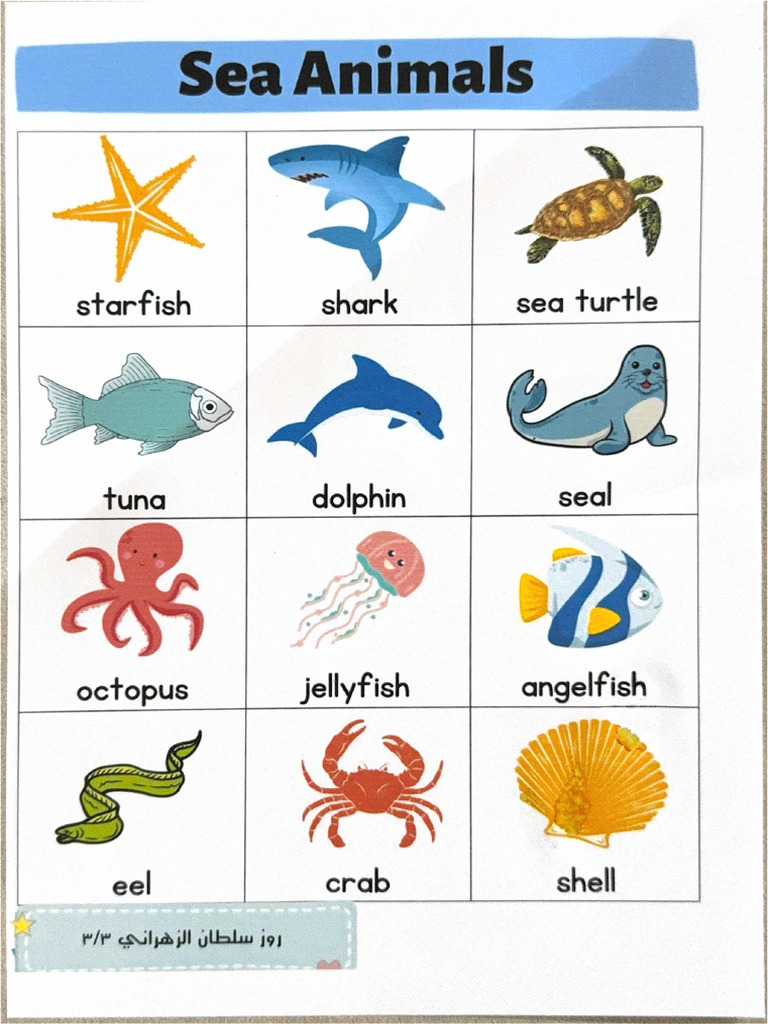 Sea Animals | PDF