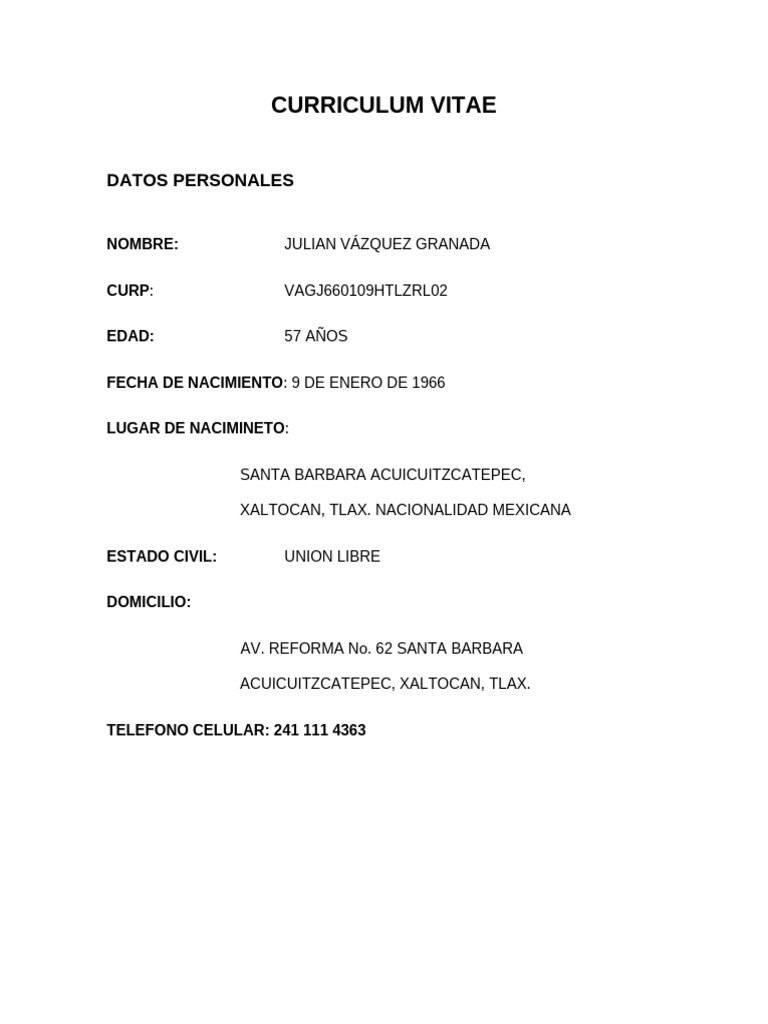 Currículum Vitae de Julián Vázquez | PDF
