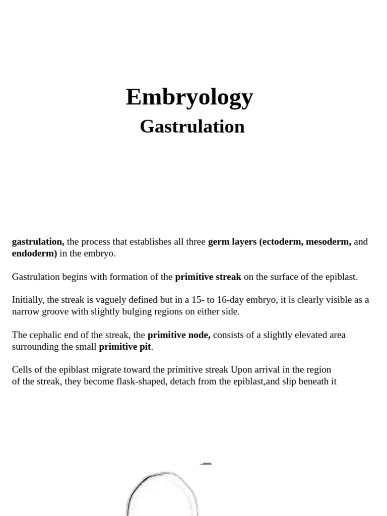 Embryology | PDF | Morphology (Biology) | Reproduction