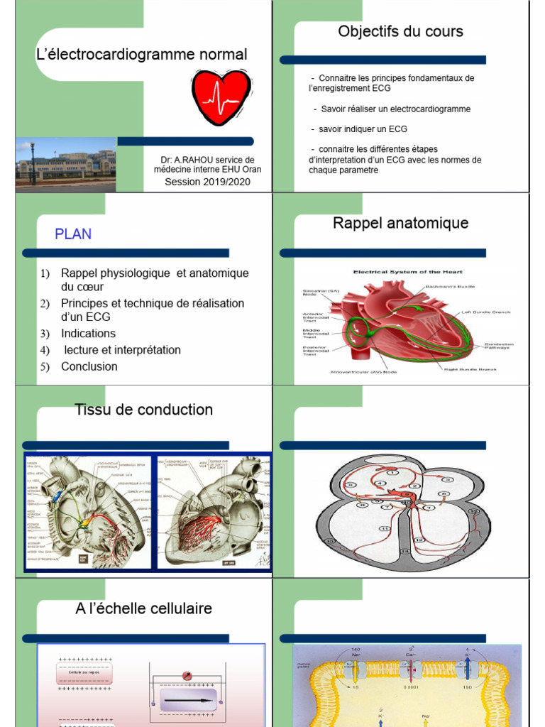 Interprétation de l'électrocardiogramme | PDF | Électrocardiographie ...