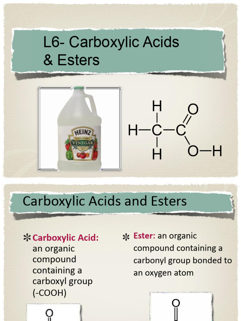 6L-Carboxylic Acids and Esters | PDF | Ester | Carboxylic Acid
