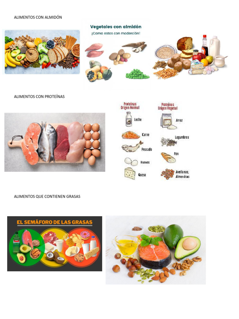 Alimentos Con Almidón | PDF
