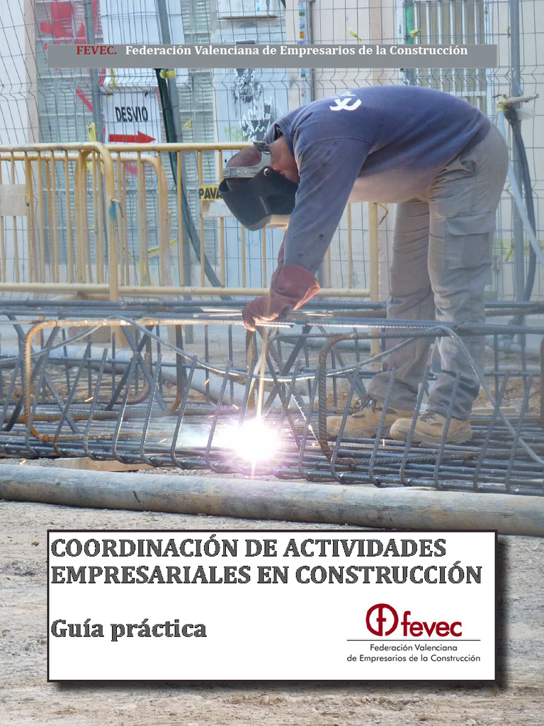 Guia de Disposiciones Minimas Del Coordinador de Seguridad y Salud ...