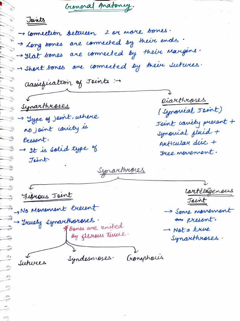 Overview of Joint Types and Anatomy | PDF